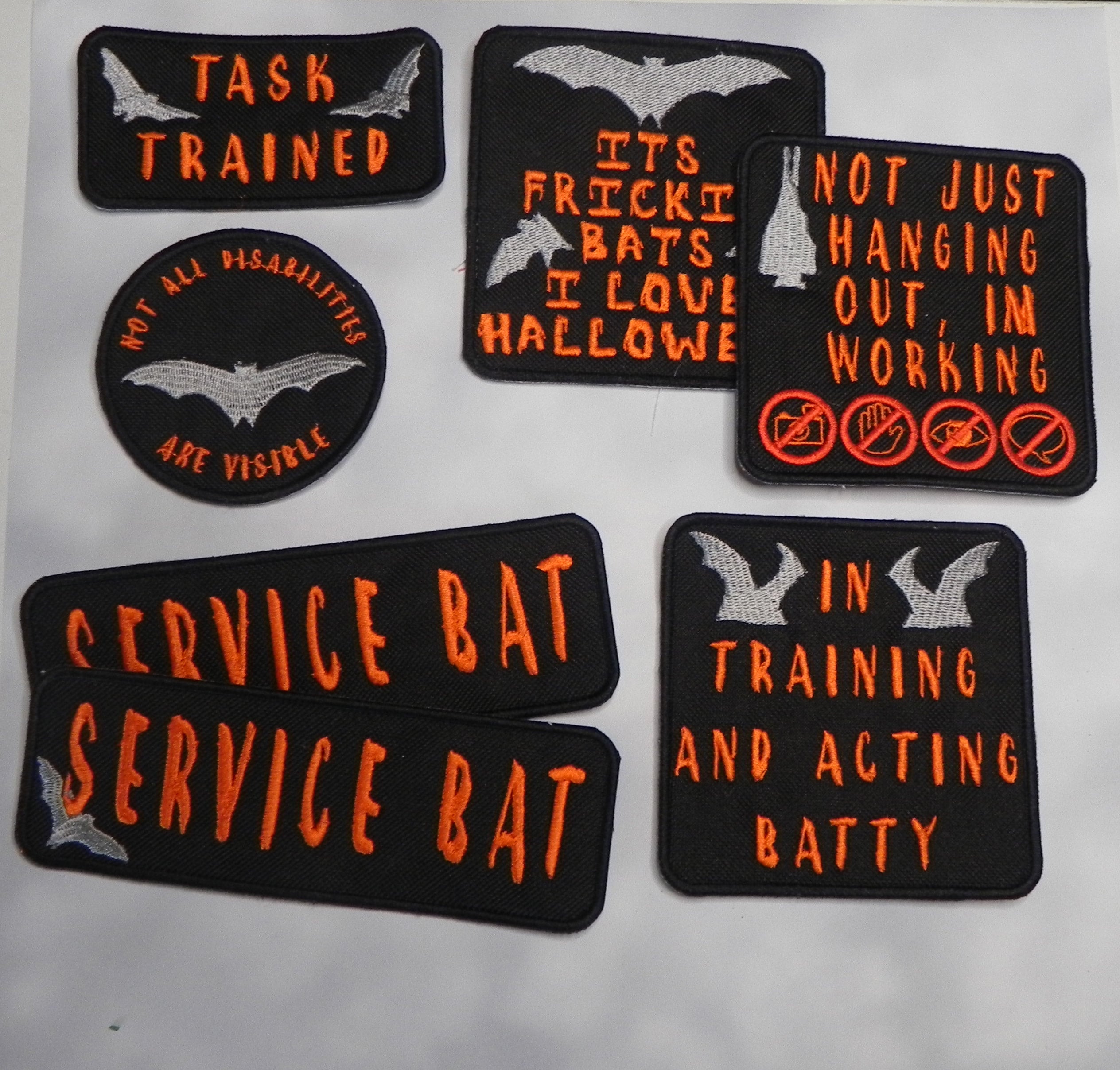 Batty Bat Service Dog Set | Katelyn Morin