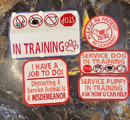 Service Dog in Training Basic Full Set | Katelyn Morin
