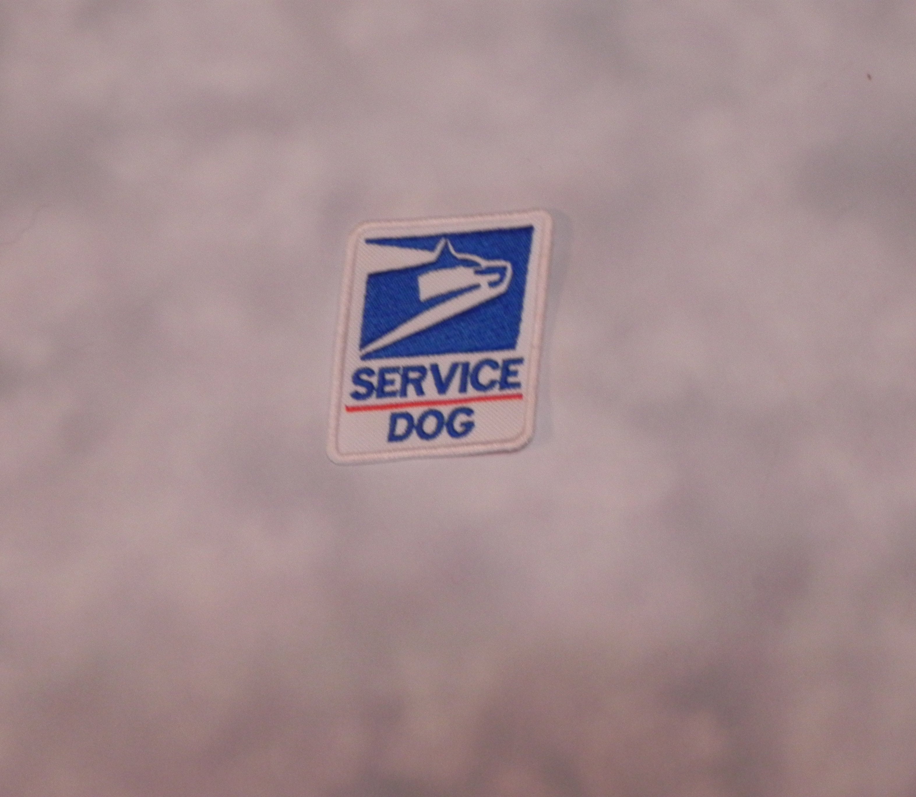 Mail Themed Service Dog Patch | Katelyn Morin